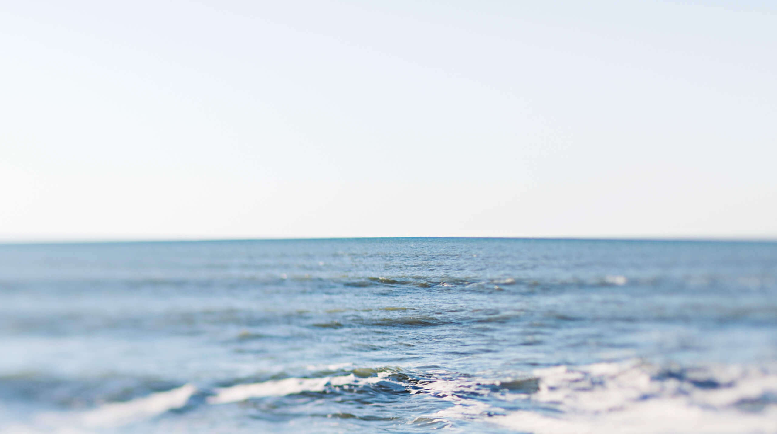 non-profit-03 | proVISION ASIA